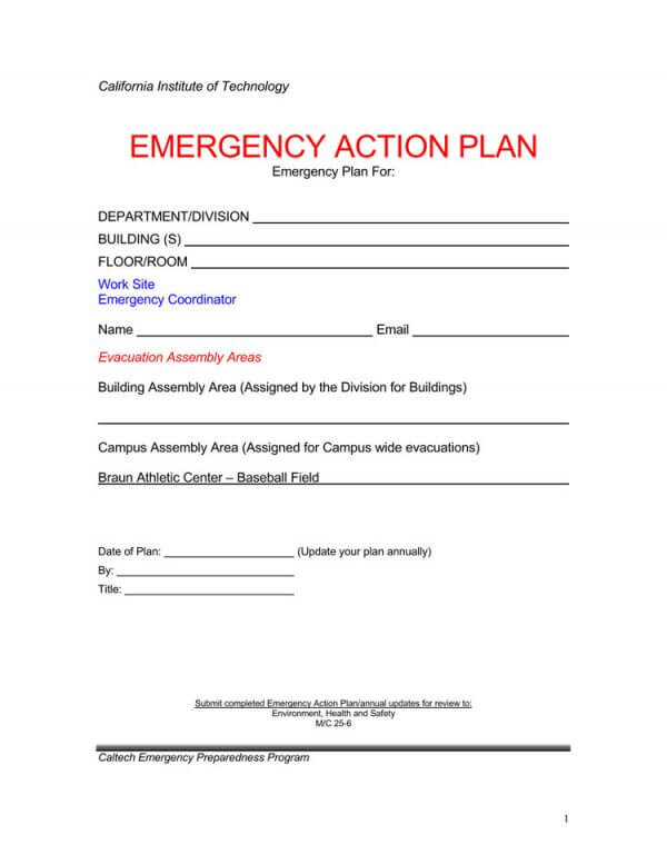60 Free Action Plan Templates [Corrective, Emergency]