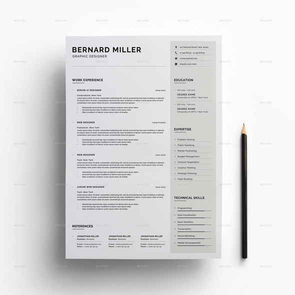 18+ Best Financial Accountant Resume Templates (Word | PSD)