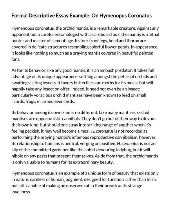 descriptive-paragraph-examples-about-nature-4-best-descriptive-essay